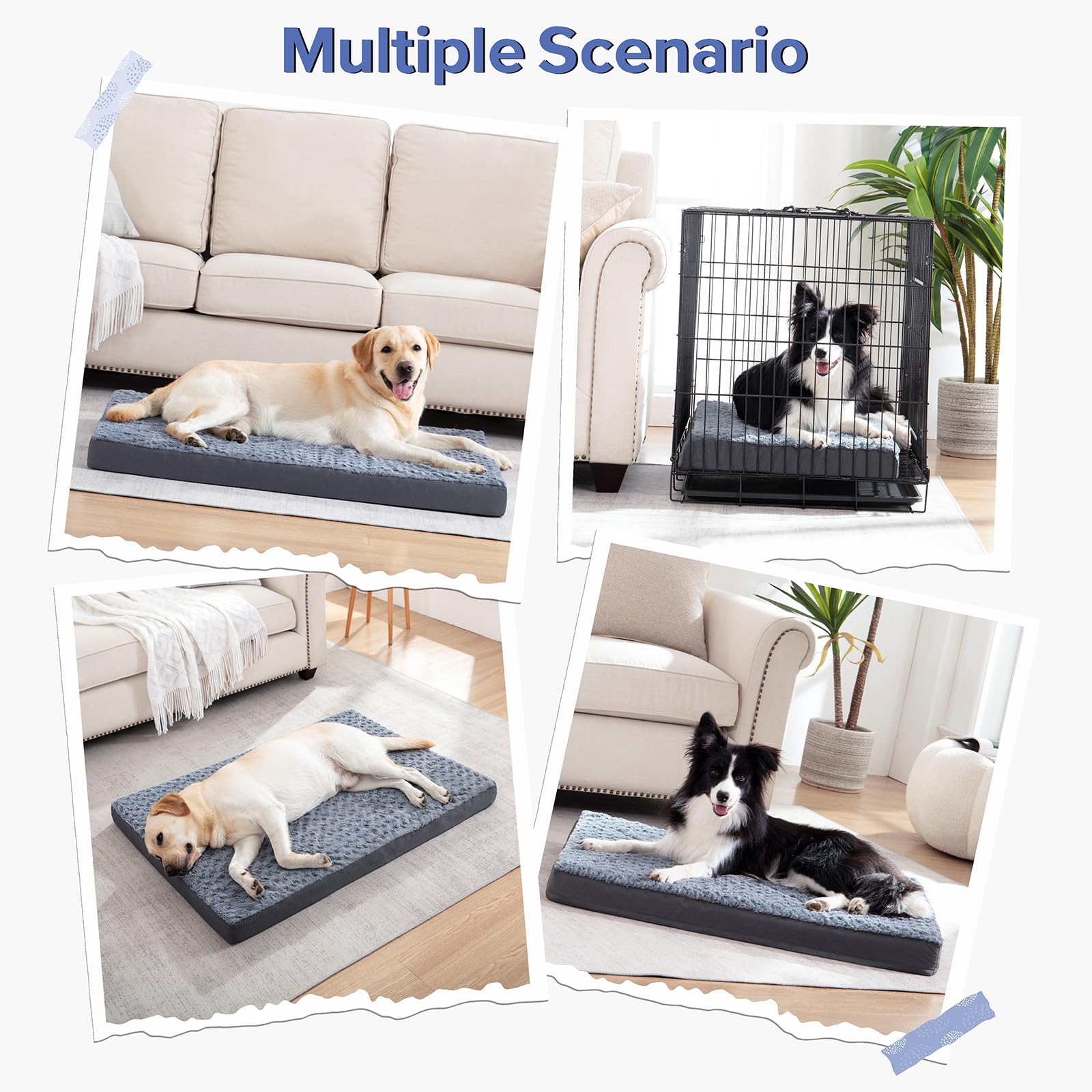JOEJOY Orthopedic Dog Bed for Medium Small Dogs, Egg-Crate Foam Dog Bed with Removable Waterproof Cover, Soft Rose Plush Pet Bed Mat with Non-Slip Bottom, Machine Washable (30"x20"x3")