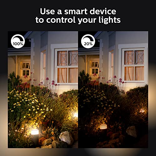 Philips Hue Lucca White Outdoor Wall Light, Works with Amazon Alexa, Apple HomeKit & Google Assistant (Hue Hub Required)