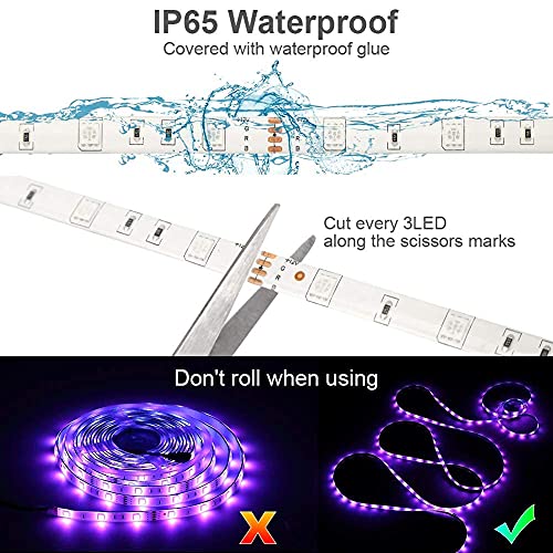 LUNSY Smart LED Strip Lights 32.8 ft/10m, Music Sync, Bluetooth APP Controlled, Remote Control, RGB, 300LED SMD5050, IP65 Waterproof Outdoor, 12V, Alexa Controlled