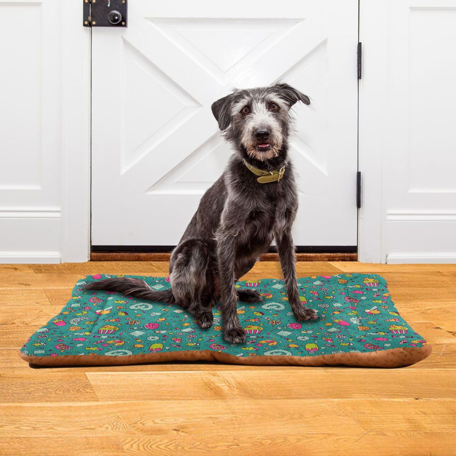 Coikll Cartoon Doodle11 Pet Bed Pad Soft Dog Bed Mat with Anti-Slip Bottom, Machine Washable Crate Pad Mattress for Dog Sleeping- 24 * 18inches