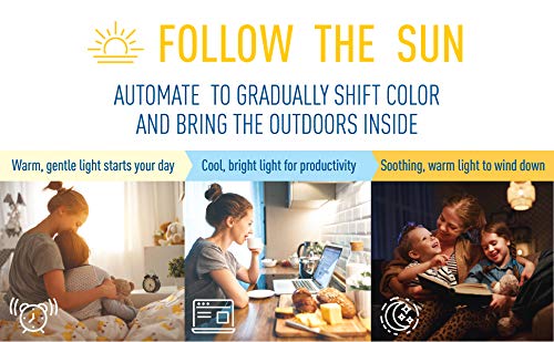 Cree Lighting Connected Max Smart Led Bulb Br30 Indoor Flood Tunable White + Color Changing, 2.4 Ghz, Works With Alexa And Google Home, No Hub Required, Bluetooth + Wifi, 1Pk