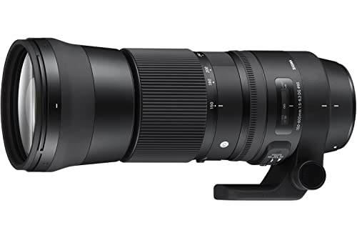 Sigma 150-600mm 5-6.3 Contemporary DG OS HSM Lens for Nikon
