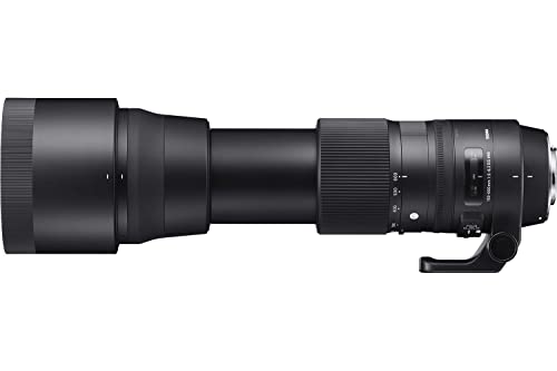 Sigma 150-600mm 5-6.3 Contemporary DG OS HSM Lens for Nikon