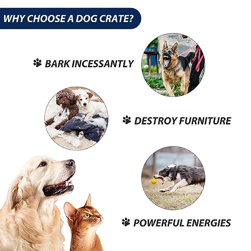 Azaeahom 43" Heavy Duty and Large Dog Crate Cage for Medium Large Dogs, High Anxiety Dog Kennel with Lockable Wheels & Removable Tray, Double Doors for Indoor Outdoor