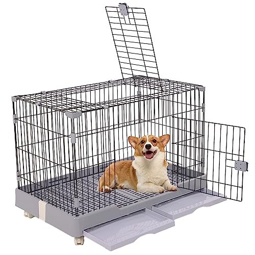 Cat Dog Crate Pet Kennel Steel Wire Small Animal Crate for Rabbit with Drawer Leak-Proof Tray, Double Door, 29 Inch