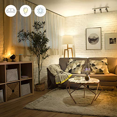 WiZ IZ0026023 60 Watt EQ A19 Smart Wifi Connected LED Light Bulbs/Compatible with Alexa and Google Home, no Hub required, Dimmable Soft White, 3 Count