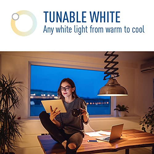 Cree Connected Max Smart Led Vintage Glass Filament Bulb G25 Globe 40W Tunable White, 2.4 Ghz, Works With Alexa And Google Home, No Hub Required, Bluetooth + Wifi, 1Pk, Clear, Cmg25-40W-Al-9Tw-Gl
