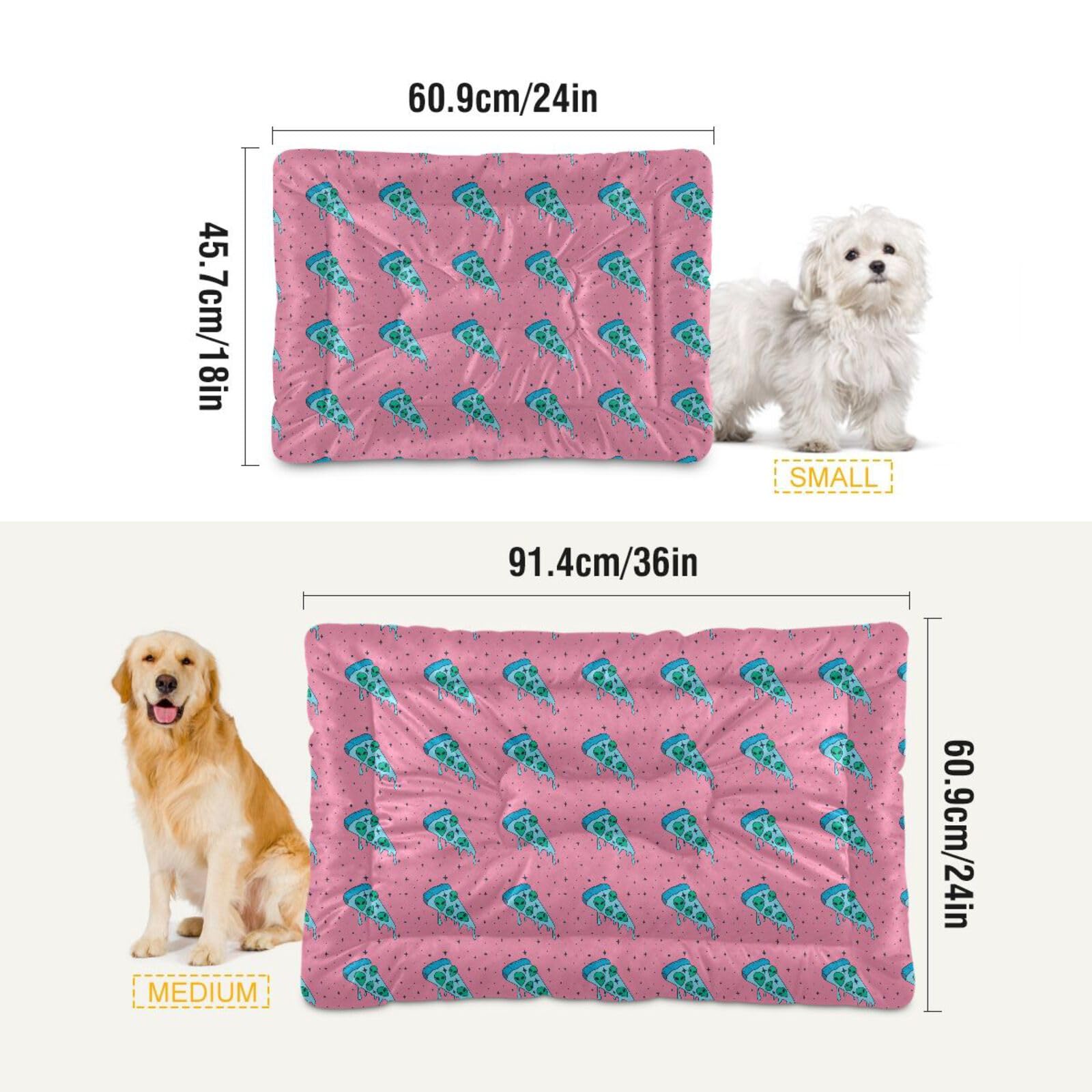 Coikll Alien Pizza Pet Bed Pad Soft Dog Bed Mat with Anti-Slip Bottom, Machine Washable Crate Pad Mattress for Dog Sleeping- 36 * 24inches
