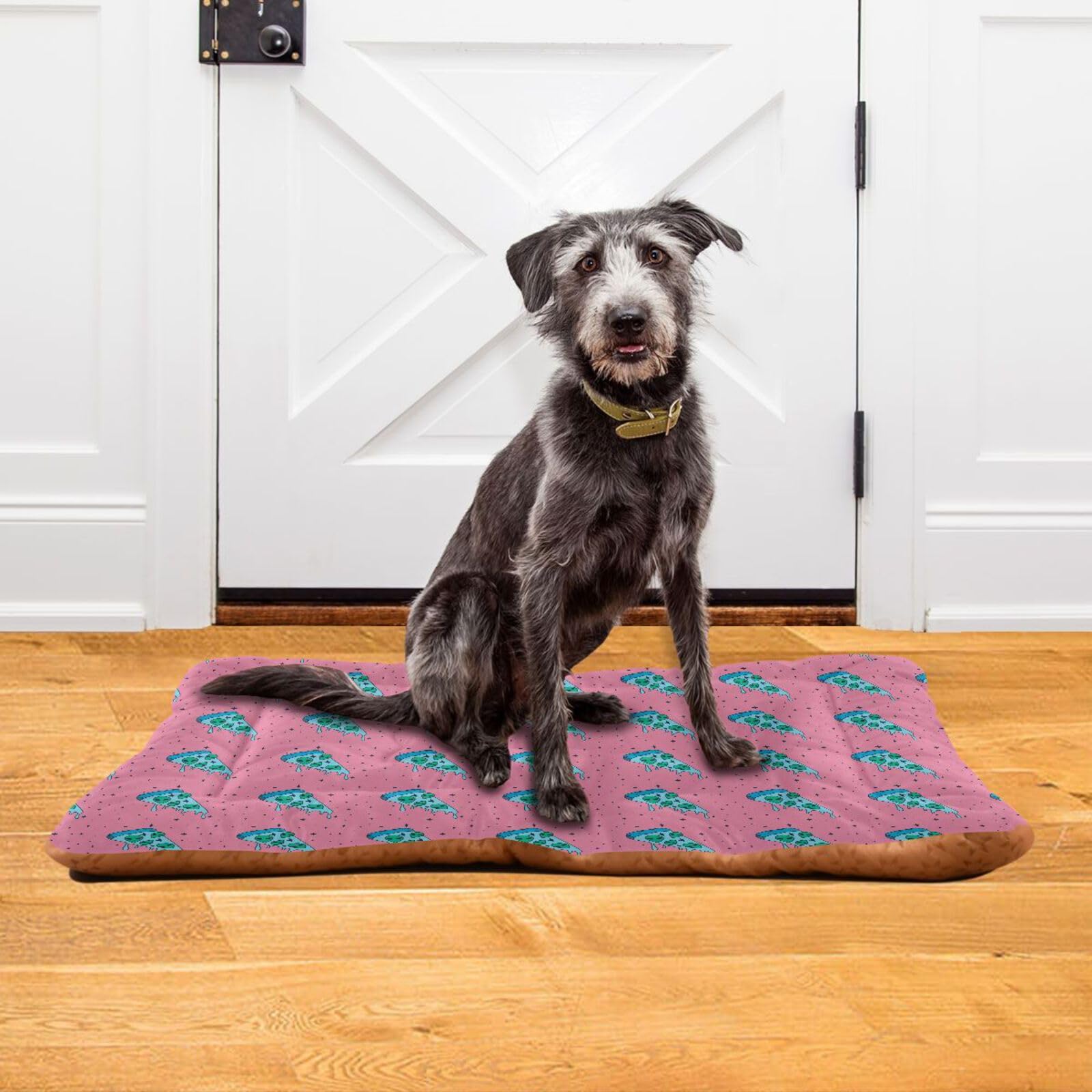 Coikll Alien Pizza Pet Bed Pad Soft Dog Bed Mat with Anti-Slip Bottom, Machine Washable Crate Pad Mattress for Dog Sleeping- 36 * 24inches
