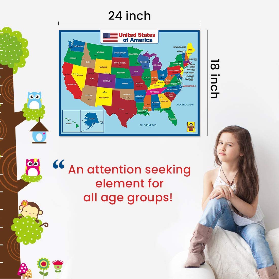 UNCLE WU United State Map Laminated Poster -Double Side Educational Poster For Kids/Adults -18 x 24 inch Waterproof Map For Home Classroom