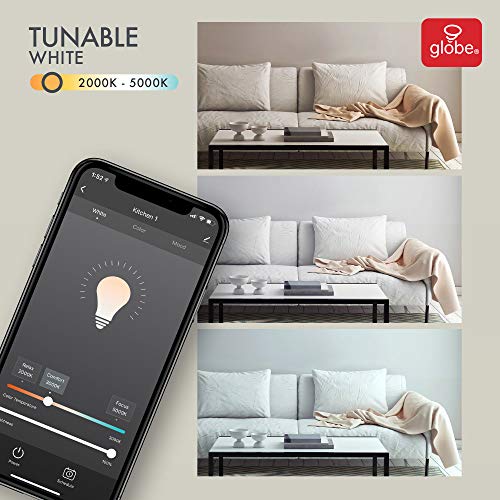 Globe Electric 50043 Wi-Fi Smart 10 Watt (90W Equivalent) Multicolor Changing RGB Tunable White Frosted LED Light Bulb, No Hub Required, Voice Activated, 2000K - 5000K, PAR38 Shape, E26 Base