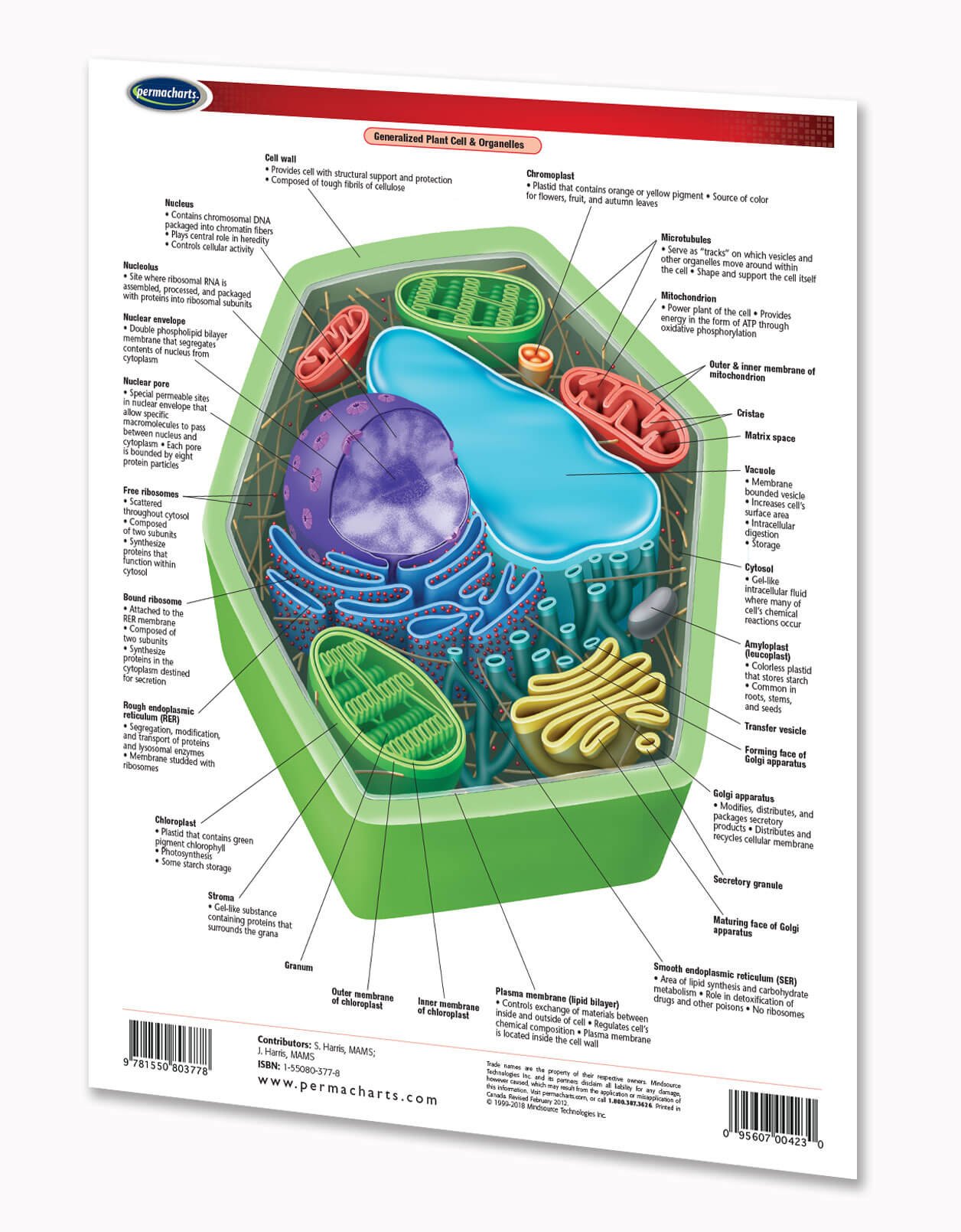 Cellular Anatomy Quick Reference Guide - Permacharts