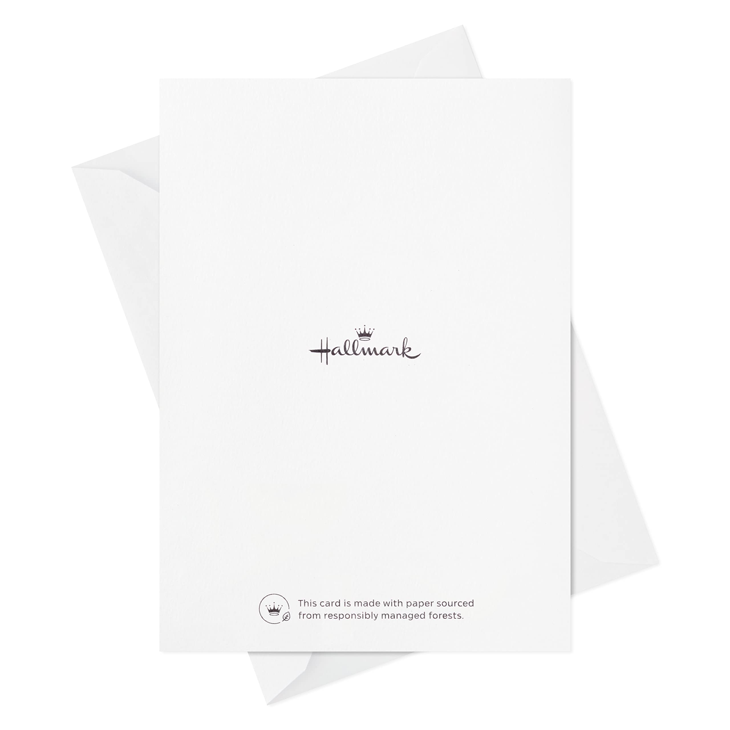 Hallmark St. Patricks Day Cards Assortment, 36 Cards with Envelopes (Unicorns, Rainbows, Shamrocks)