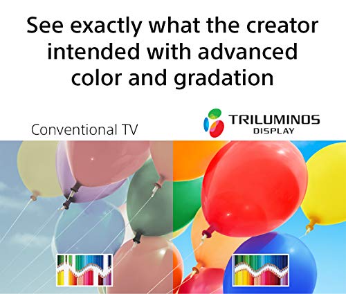 Sony A8H 65-inch TV: BRAVIA OLED 4K Ultra HD Smart TV with HDR and Alexa Compatibility - 2020 Model