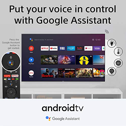 Sony A8H 65-inch TV: BRAVIA OLED 4K Ultra HD Smart TV with HDR and Alexa Compatibility - 2020 Model