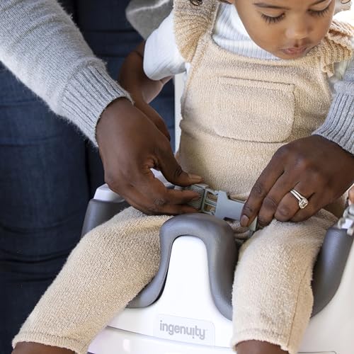 Ingenuity Baby Base 2-in-1 Booster Feeding and Floor Seat with Self-Storing Tray - Pink Flambe