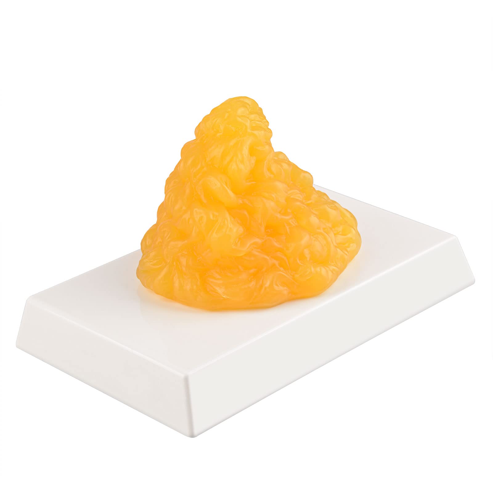 Human Body Fat Replica 1 lb with Display Base, Keep Fit & Weight Loss Motivation & Reminder, Human Fatty Tissue Demonstration Model for Nutritionist