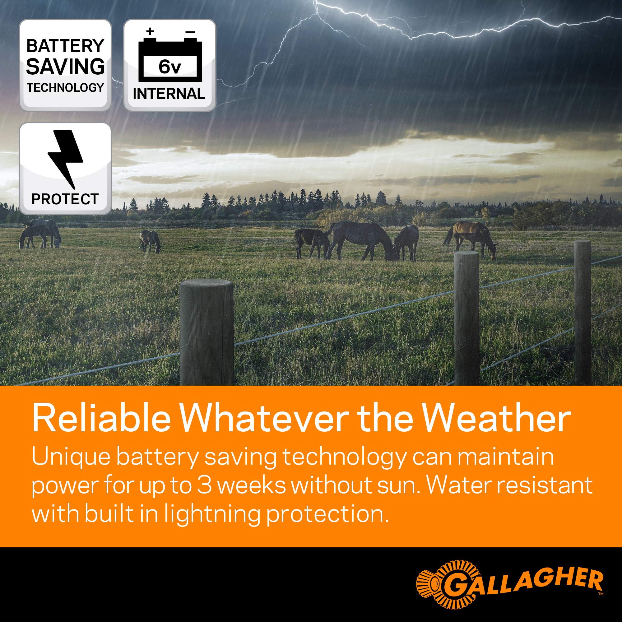 Gallagher G345404 S40 Solar Fence Charger - Quantity 1