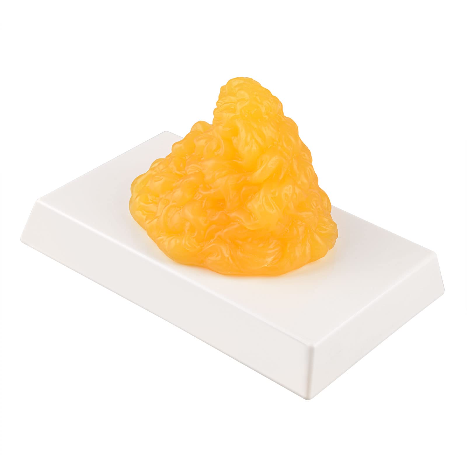 Human Body Fat Replica 1 lb with Display Base, Keep Fit & Weight Loss Motivation & Reminder, Human Fatty Tissue Demonstration Model for Nutritionist