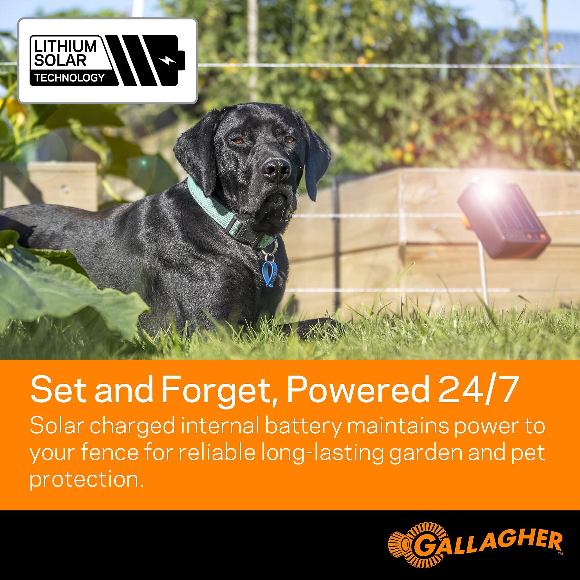Gallagher S6 Solar Electric Fence Charger | Protect Your Backyard and Pets | Solar Lithium Technology, 0.06 Stored Joule Energizer | Unique Post Mounting System | Portable and Super Tough