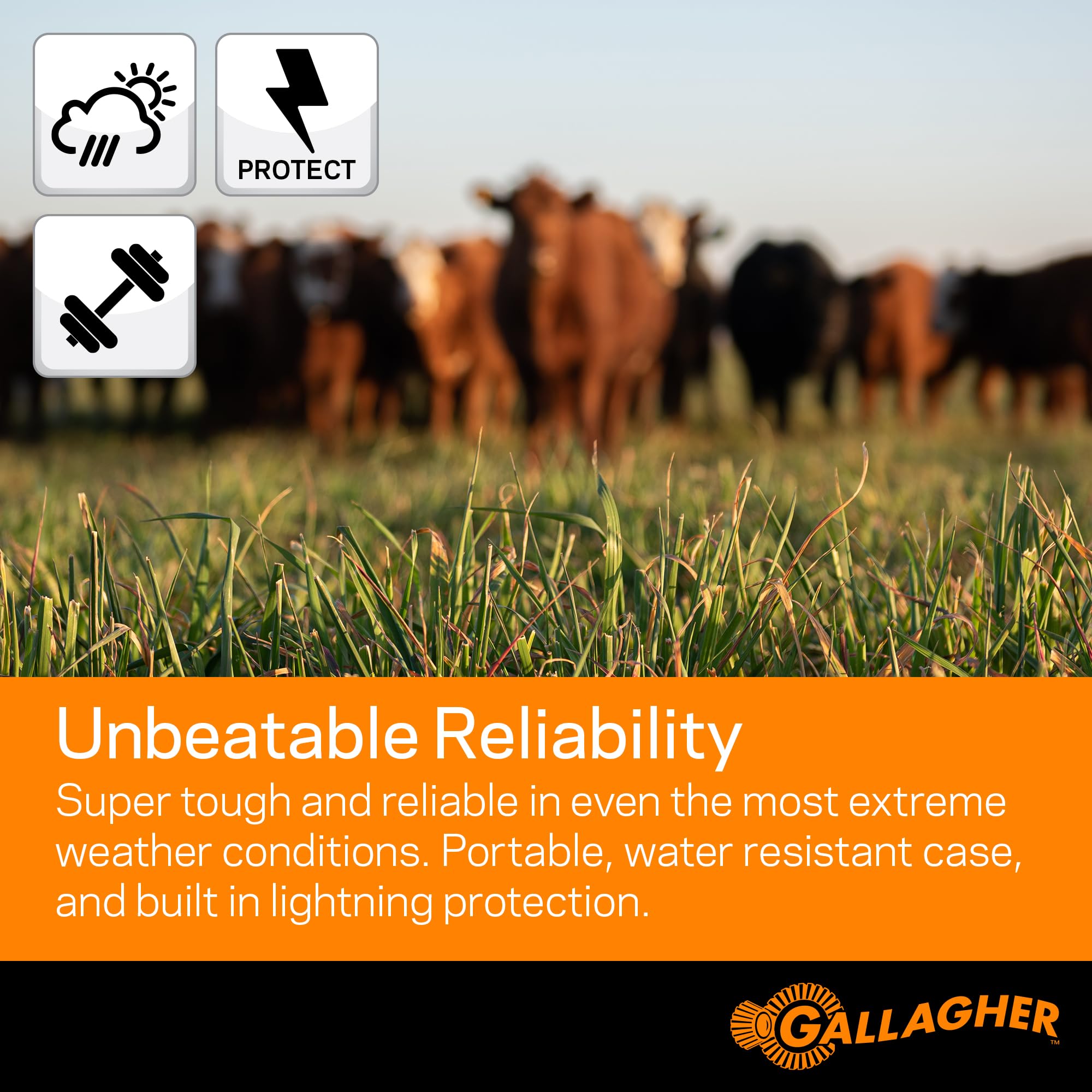 Gallagher MB150 Dual Power Electric Fence Charger | 1.5 Joule 12v Battery or 110v AC Energizer with Adaptive Energy Control | Powers Up to 30 Miles / 100 Acres | Portable and Compact