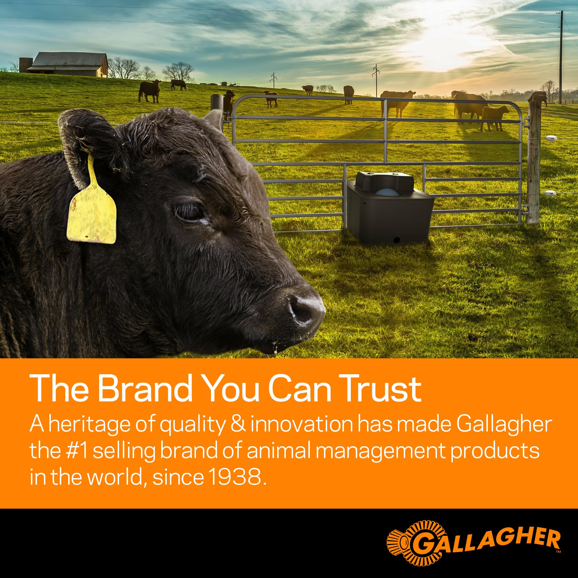 Gallagher MB150 Dual Power Electric Fence Charger | 1.5 Joule 12v Battery or 110v AC Energizer with Adaptive Energy Control | Powers Up to 30 Miles / 100 Acres | Portable and Compact