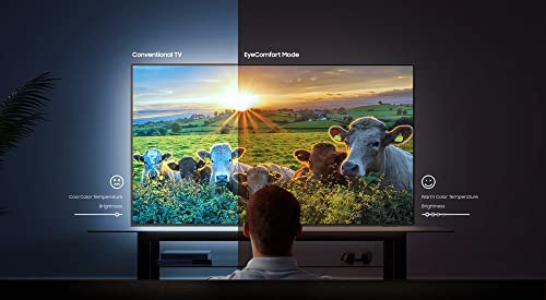 SAMSUNG QN75QN800BFXZA 75" 8K QLED Quantum Mini LED HDR Smart TV with a Additional 1 Year Coverage by Epic Protect (2022)