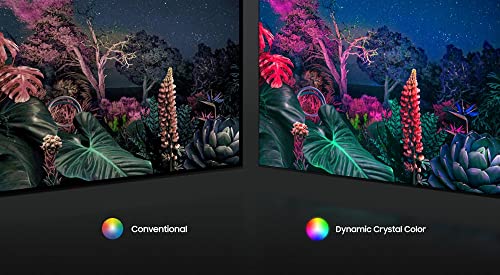 SAMSUNG QN75QN800BFXZA 75" 8K QLED Quantum Mini LED HDR Smart TV with a Additional 1 Year Coverage by Epic Protect (2022)