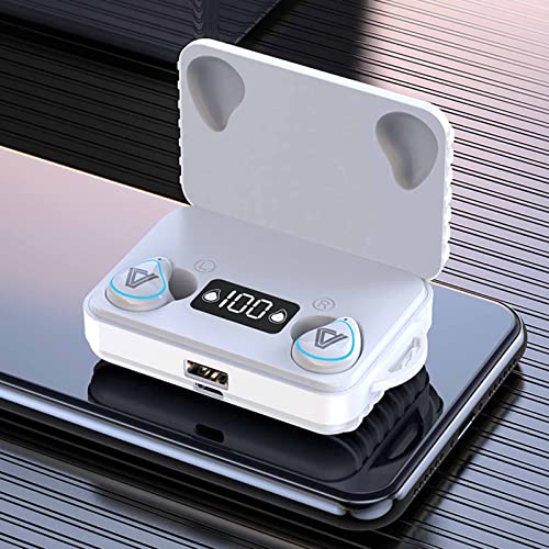 Wireless Bluetooth Headphones, with Charging Case, LCD Display, Noise Cancelling Microphone, HiFi Stereo Sound, 2000 mAh Charging Box, for Sport, Gaming