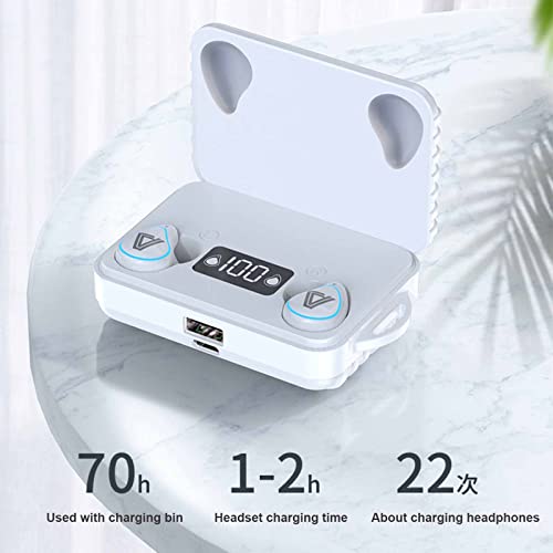 Wireless Bluetooth Headphones, with Charging Case, LCD Display, Noise Cancelling Microphone, HiFi Stereo Sound, 2000 mAh Charging Box, for Sport, Gaming