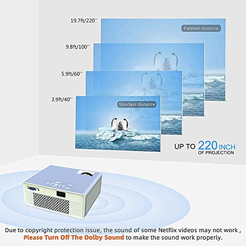 Native 1080P WiFi Bluetooth Projector(with 100" Metal Anti Light Screen),DIVCRE 9000L Full HD 220" Portable Projector , Home Theater Video Projector,Compatible with iOS,Android,HDMI,VGA,USB,AV