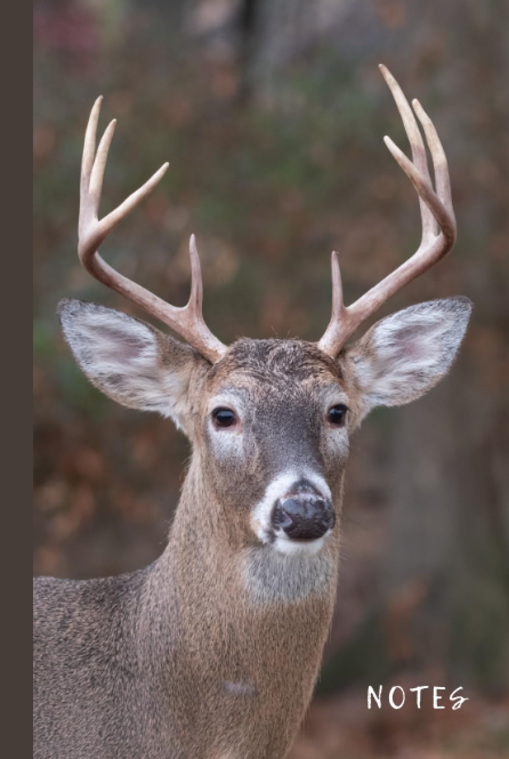 Notes: Hardcover / Password Book Cleverly Disguised With Beautiful Design / Deer Buck - Animal Art / Discreet Internet Username and Website Login ... / Great Senior Citizen Gift For Women Men
