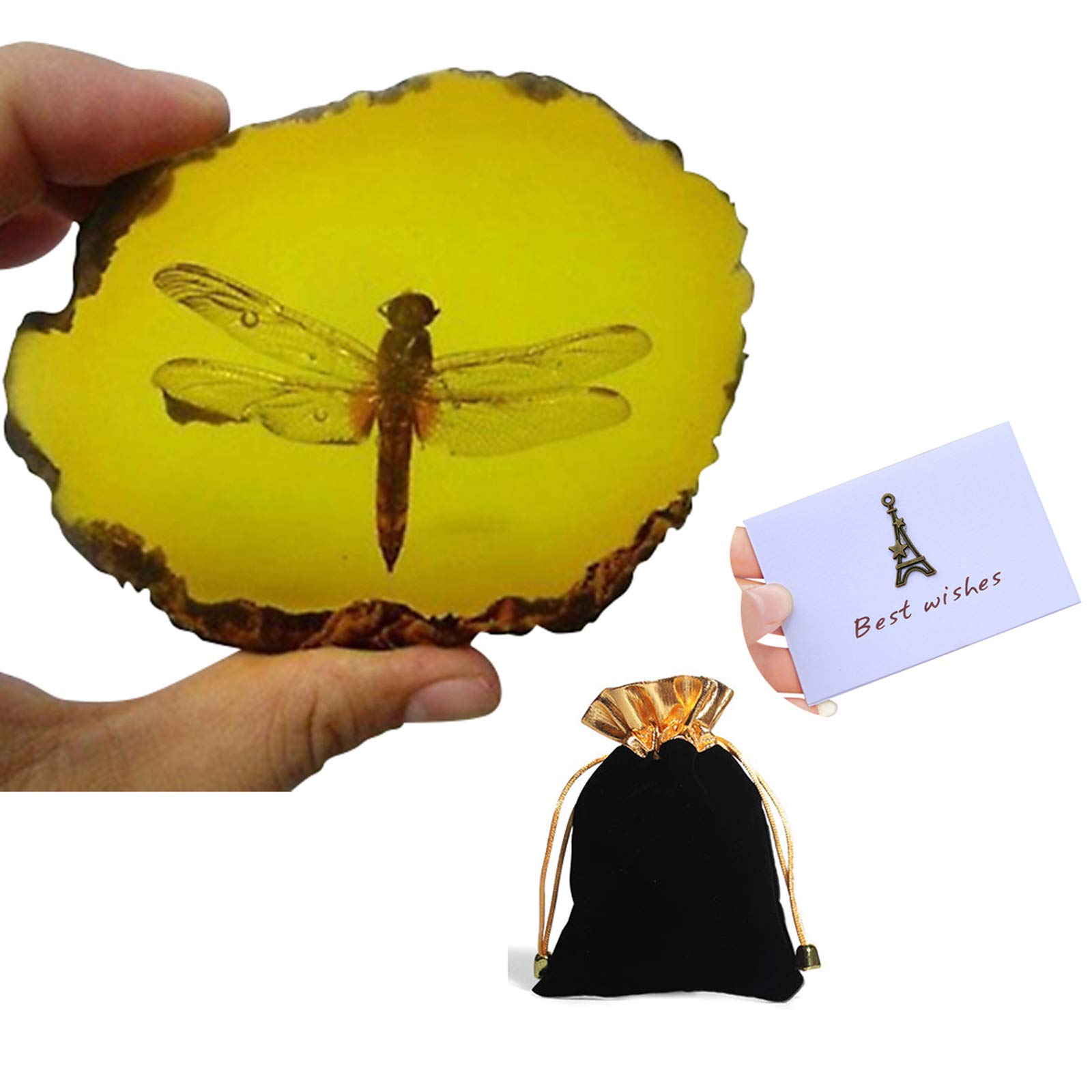 Amber Fossil Insect with Gift Bag and Gift Card,Museum Grade Specimen,Artificial Amber Natural Insect