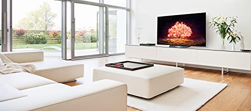 LG OLED B1 Series 65” Alexa Built-in 4k Smart TV, 120Hz Refresh Rate, AI-Powered, Dolby Vision IQ and Dolby Atmos, WiSA Ready, Gaming Mode (OLED65B1PUA, 2021)
