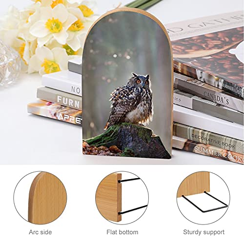 Nudquio Eurasian Eagle Owl Wooden Shelves Bookends Desktop Book Stand Book Ends Books Holder for Library School Home Office Study Bedroom Decoration(Logs), One Size