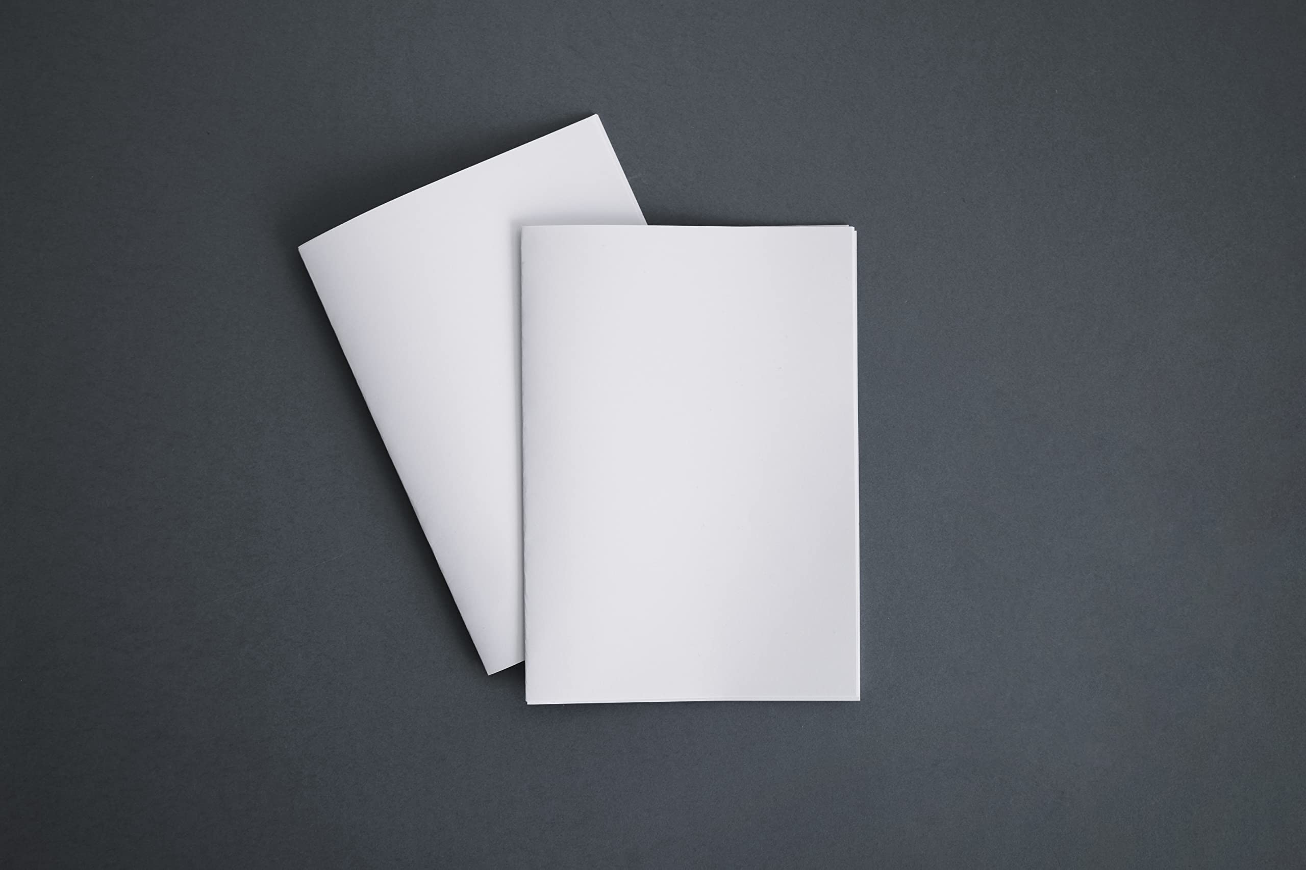 A4 Size Printer Paper - Bright White Opaque - Pro Quality - 90 gsm / 24 lb (100 Sheets)