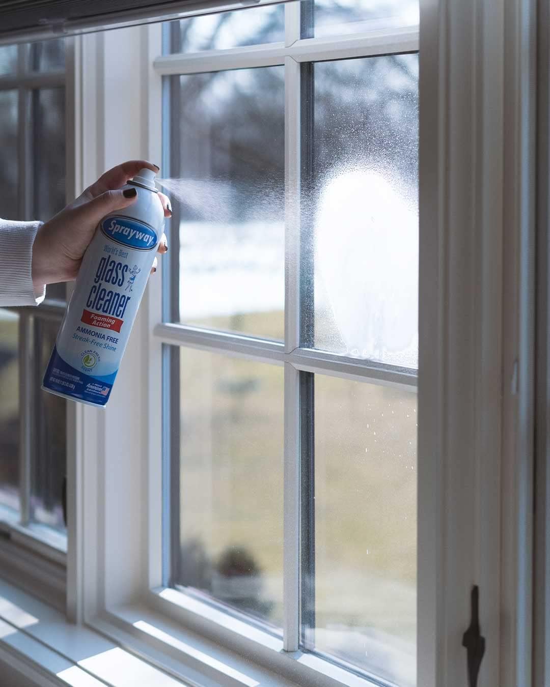 Sprayway SW050-06 Glass Cleaner,19 Oz (Pack of 6)