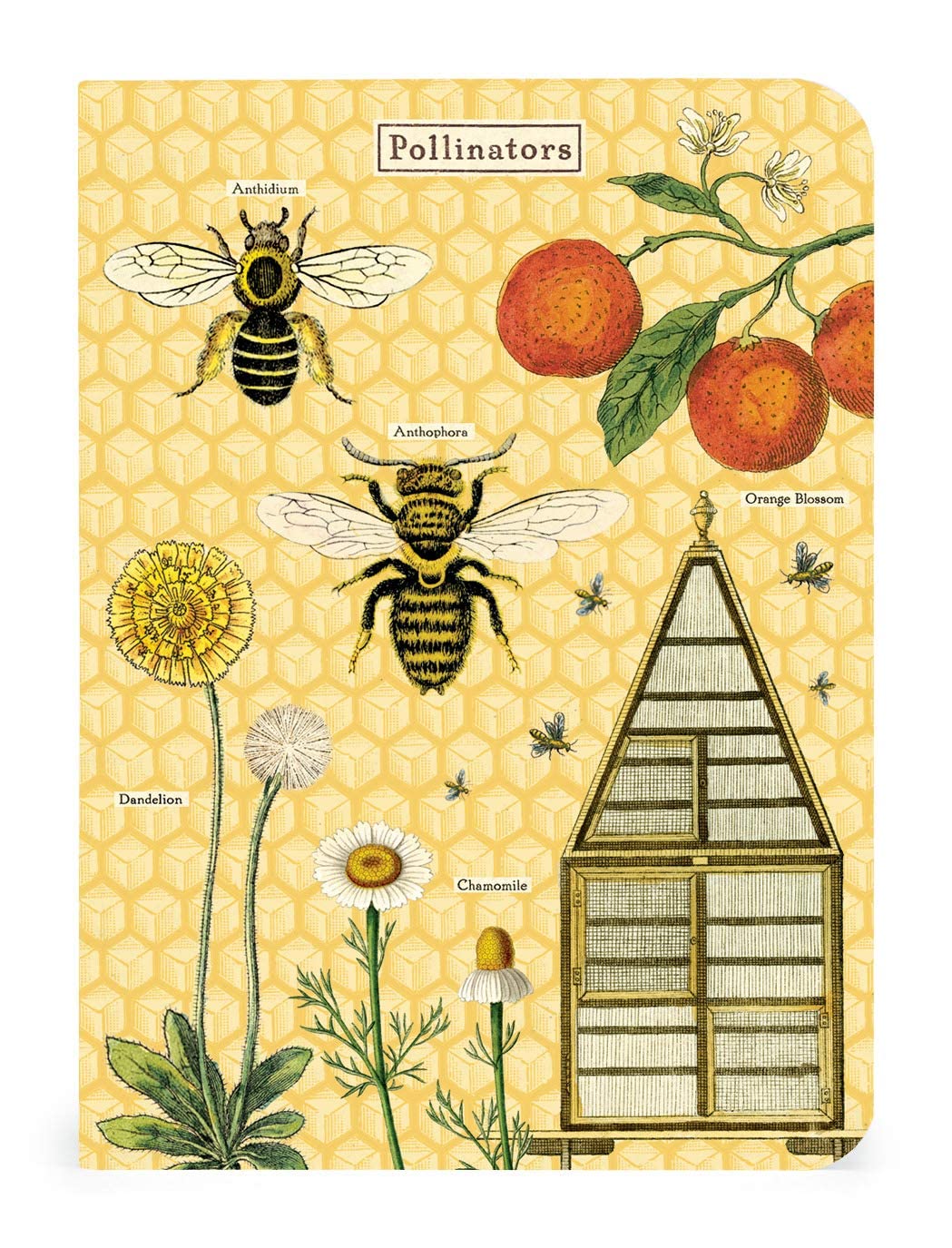 Bees & Honey Mini Notebooks