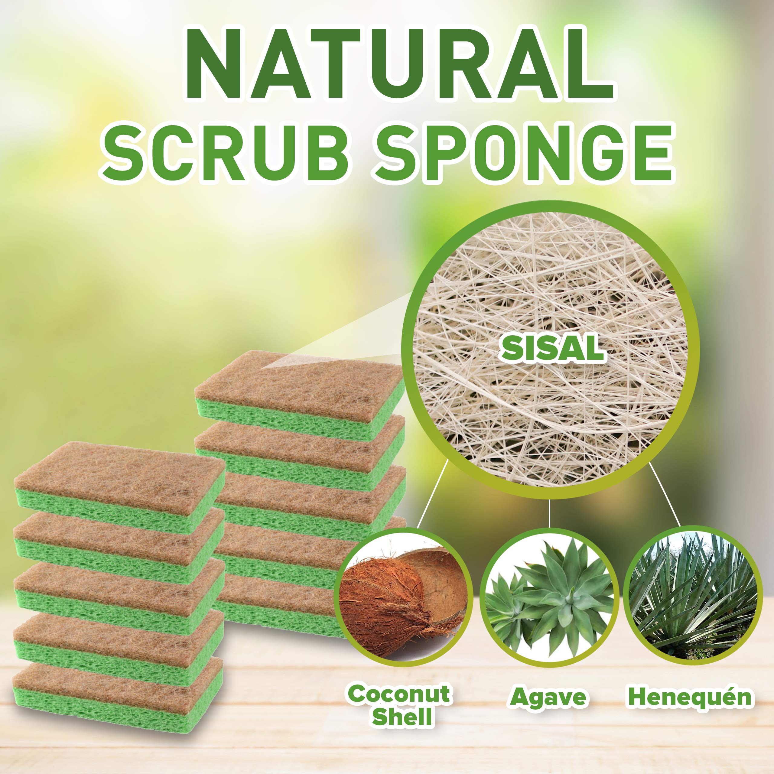 Natural Sponge by Scrubit - 24-Pack - Biodegradable Cellulose Natural Sponges for Dishes with a Tough Eco-Friendly Scouring Pad for Kitchen and Bathroom – Non-Stick Plant-Based Compostable Sponges