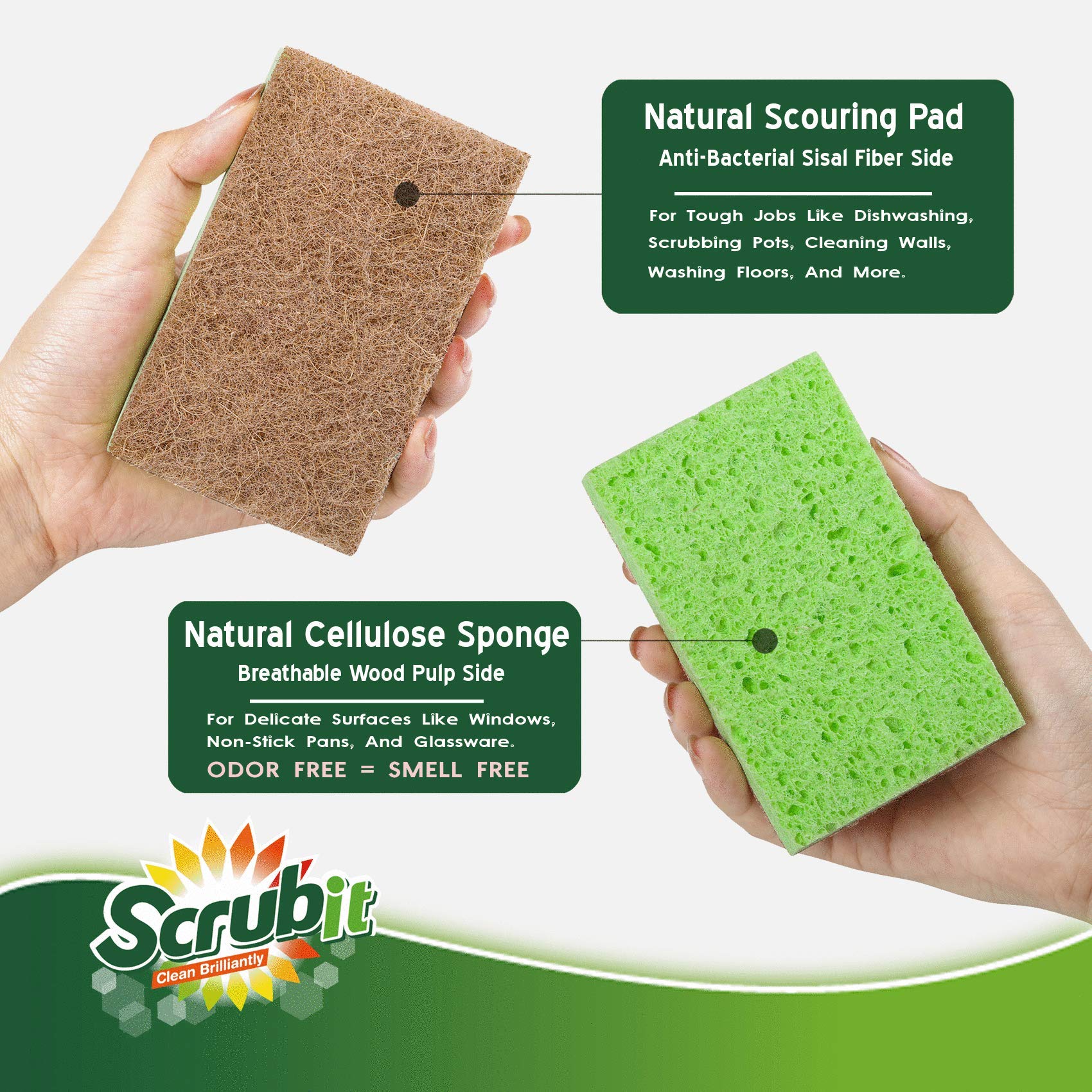 Natural Sponge by Scrubit - 24-Pack - Biodegradable Cellulose Natural Sponges for Dishes with a Tough Eco-Friendly Scouring Pad for Kitchen and Bathroom – Non-Stick Plant-Based Compostable Sponges