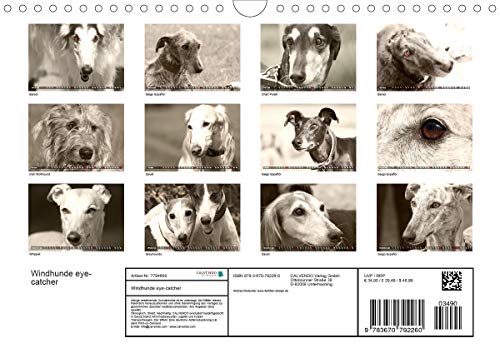 Windhunde eye-catcher (Wandkalender 2020 DIN A4 quer): Sepia-colorierte Fotos vom Galgo Español (Monatskalender, 14 Seiten )