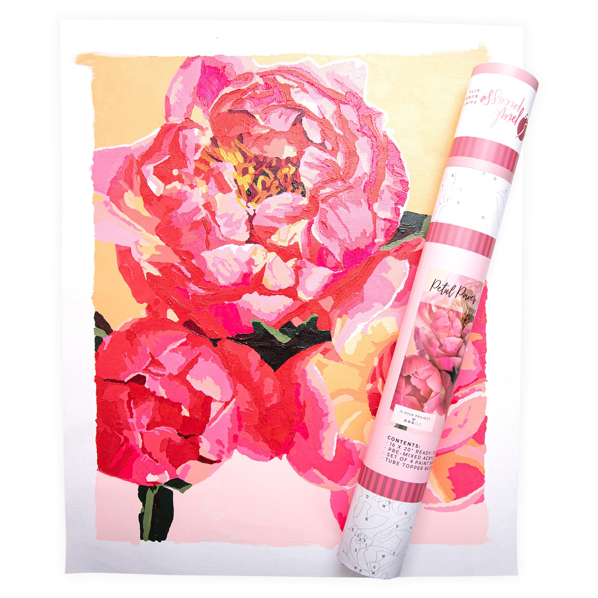 Pink Picasso Kits Botanical Floral Paint by Number for Adults | DIY Canvas Painting Kits Color by Numbers Drawing Arts and Drawing Crafts As Seen On Shark Tank | (Petal Power) 16x20 - Paint Kit Set