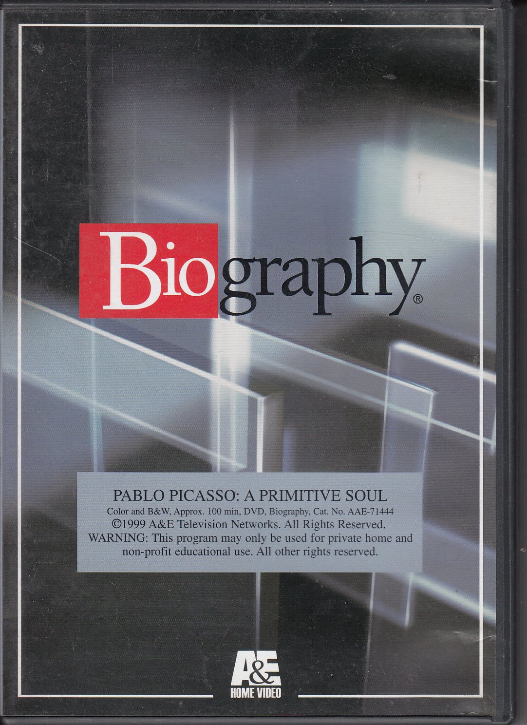Biography - Pablo Picasso: A Primitive Soul
