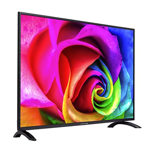 Sceptre 40" Class FHD (1080P) LED TV (X405BV-FSR)
