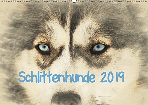 Schlittenhunde 2019 (Wandkalender 2019 DIN A2 quer): Der Kalender ist im kunstvollen Aquarell-Stil gehalten, so dass jedes einzelne Bild einem kleinen Kunstwerk gleicht. (Monatskalender, 14 Seiten )