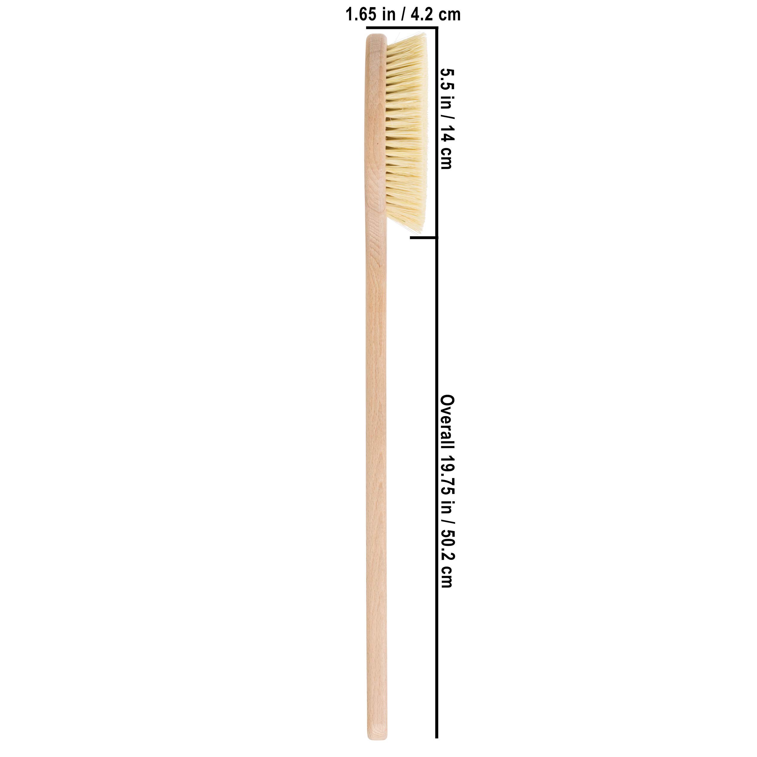 REDECKER Tampico Fiber Bath Brush with Oiled Beechwood Handle, 19-5/8-Inches - Bath Brush Long Handle for Shower - Body Brush with Natural Horse Hair, Made in Germany
