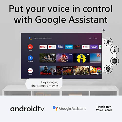 Sony X950H 65-inch TV: 4K Ultra HD Smart LED TV with HDR and Alexa Compatibility - 2020 Model