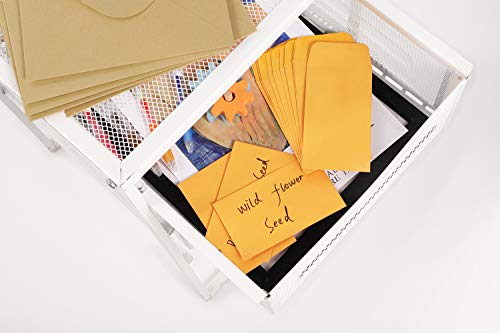 ValBox #1 Coin Envelopes 2.25x 3.5 Small Parts Envelope with Gummed Flap for Home, Garden or Office Use, Brown Kraft Seed Envelopes 100 per Box