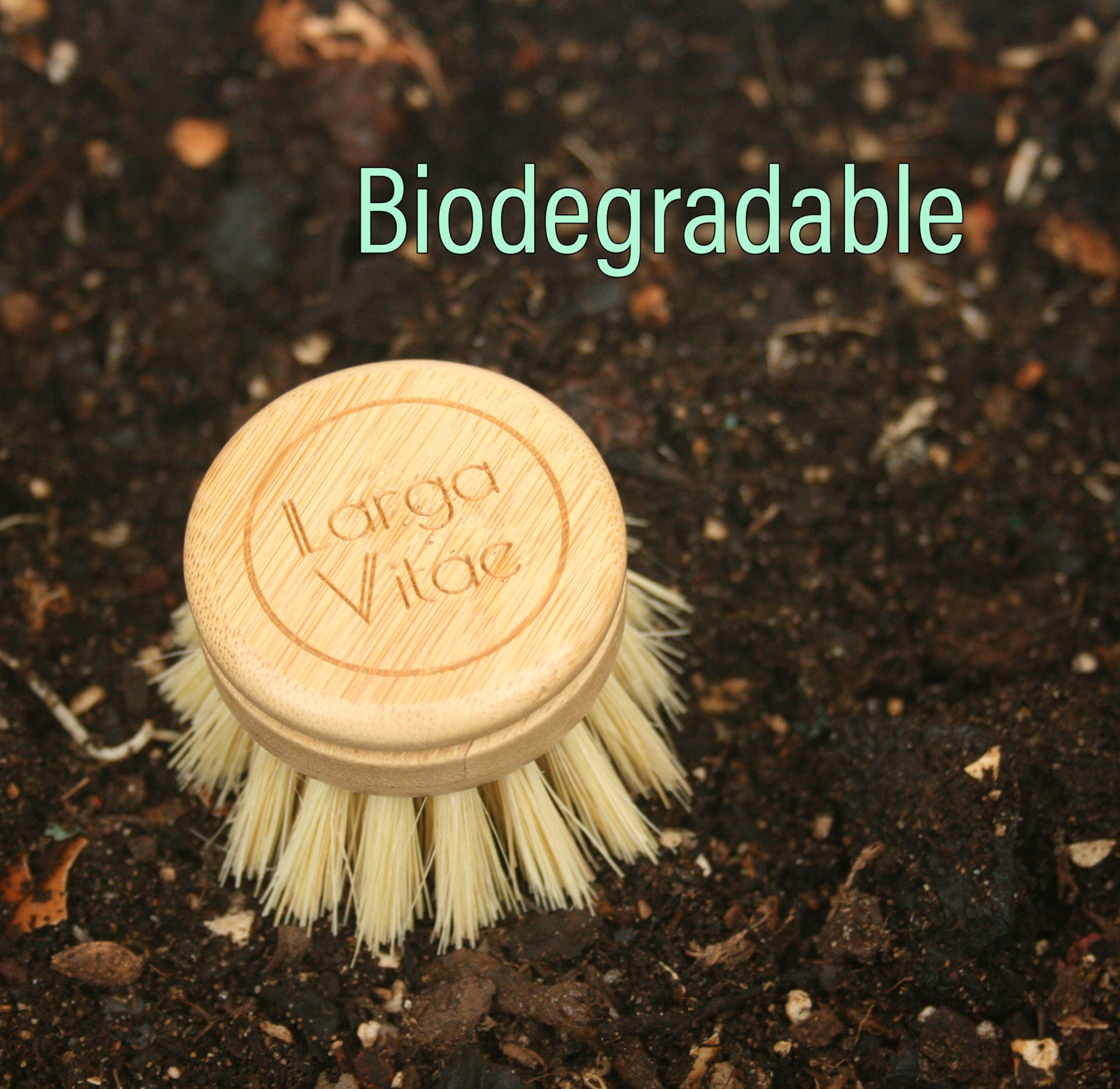 Larga Vitae Wooden Dish Brush Made of Renewable Bamboo Wood and Natural Bristle Tampico Fiber, includes 5 Replacement Brush Heads, Durable, Long Lasting, All Purpose Kitchen Scrubber