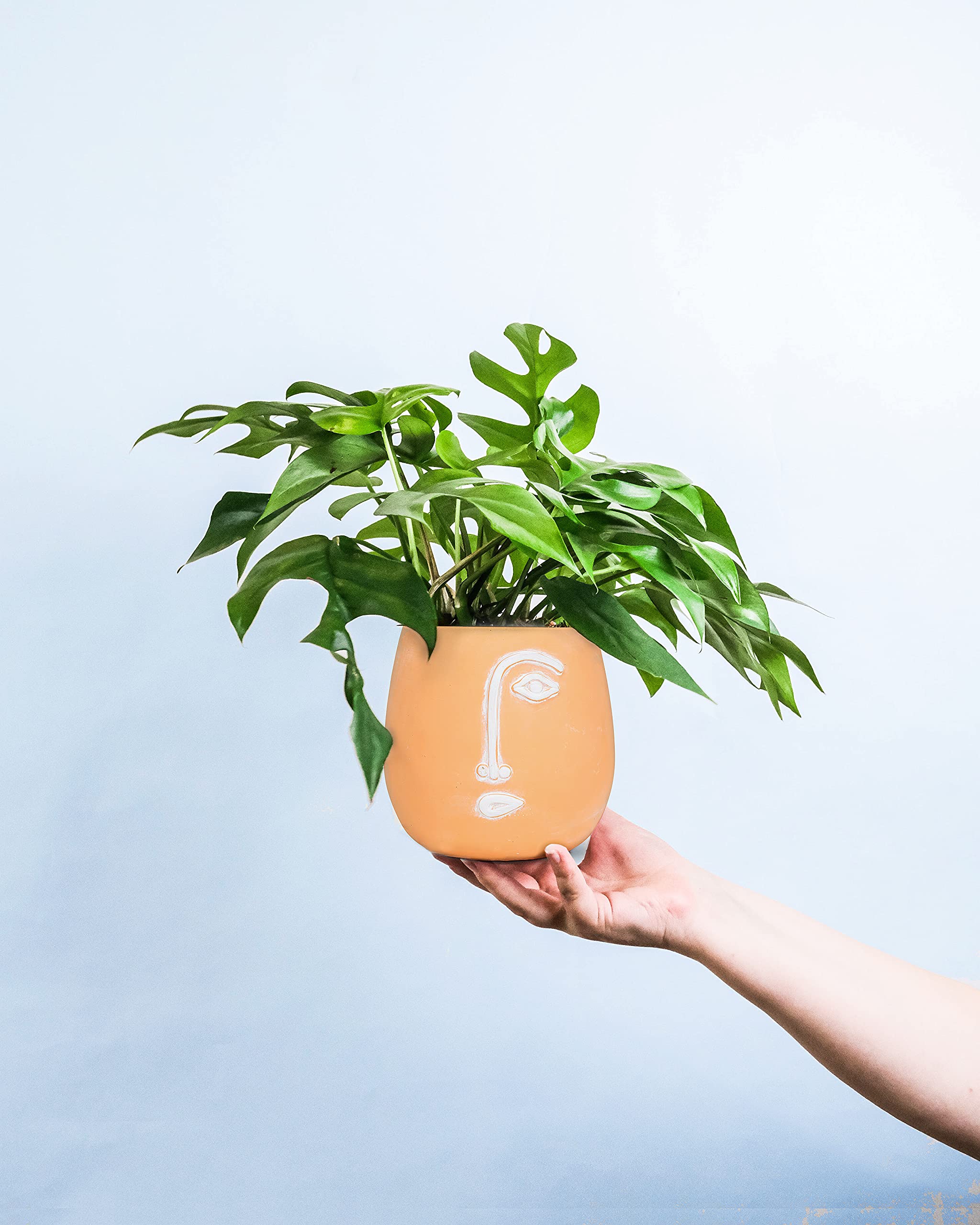 Abbott Collection 27-Picasso-LG Large Half Face Planter, 8" D, Orange